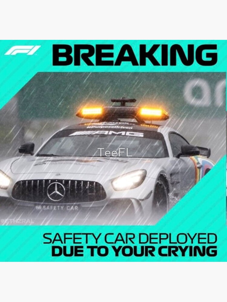 "Safety car deployed due to your crying, F1 memes" Sticker for Sale by ...