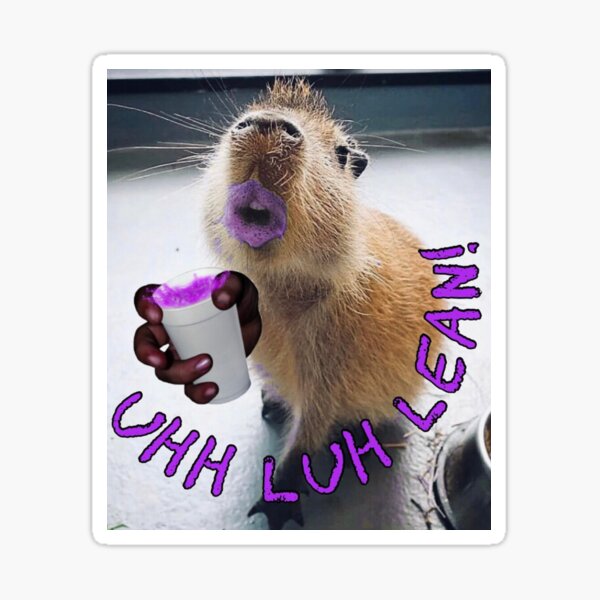 "Capy luh lean " Sticker for Sale by chadcapy | Redbubble