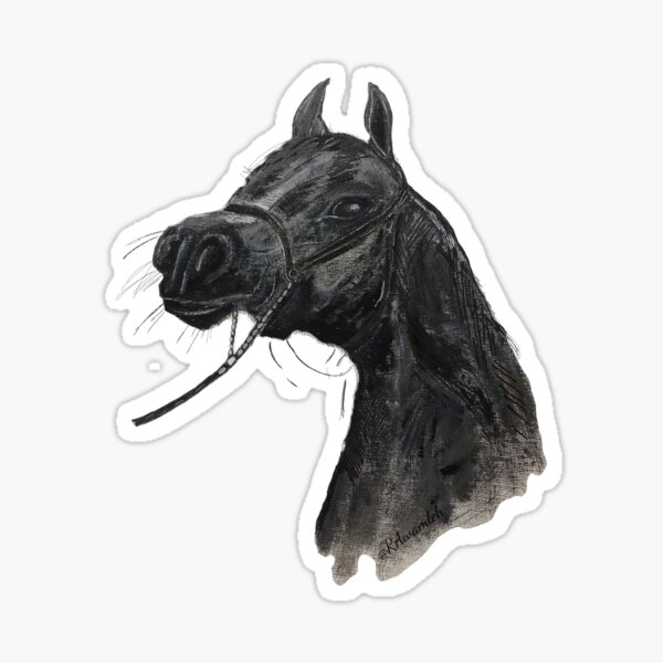 "Arabian beautiful black horse " Sticker for Sale by RAwamleh | Redbubble
