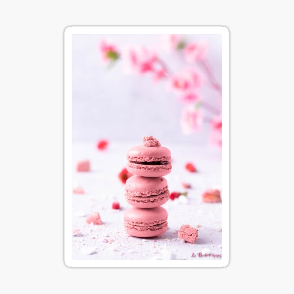 "macaroons and flowers" Sticker for Sale by LaBoiteaImages | Redbubble