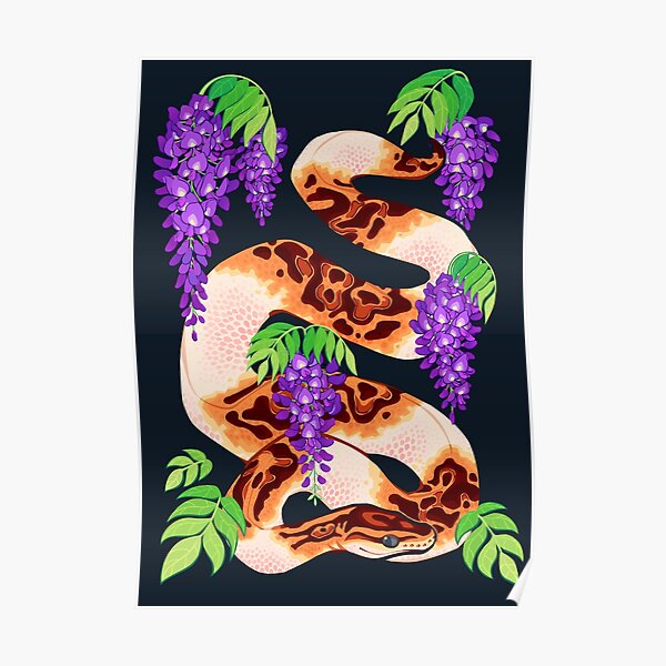 "Wisteria ball python" Poster for Sale by Colordrilos | Redbubble