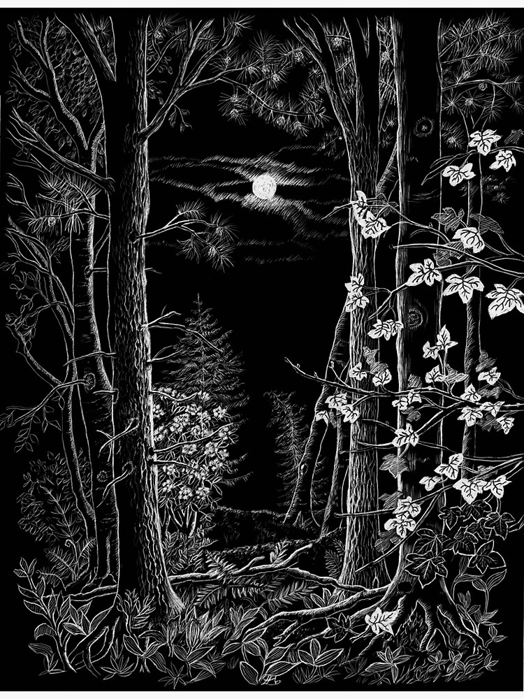 "Moonlight Woodland (scraperboard)" Sticker for Sale by LynneHenderson ...