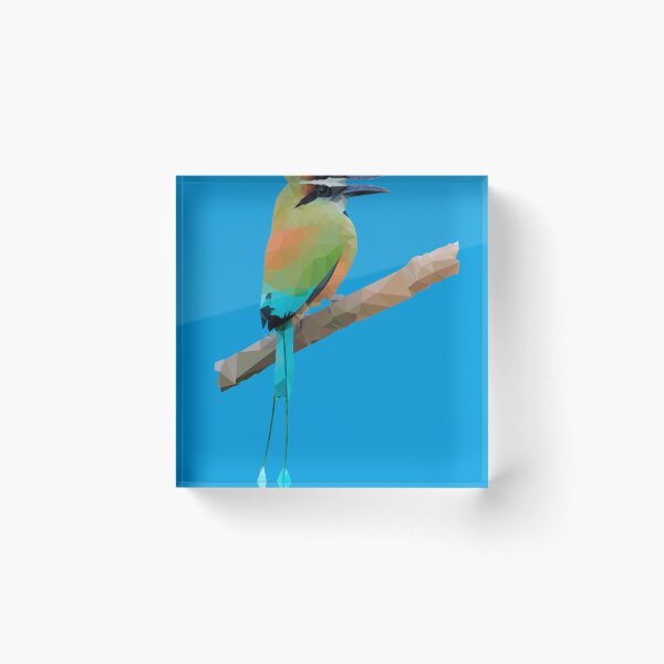 Regalos y productos: Torogoz | Redbubble