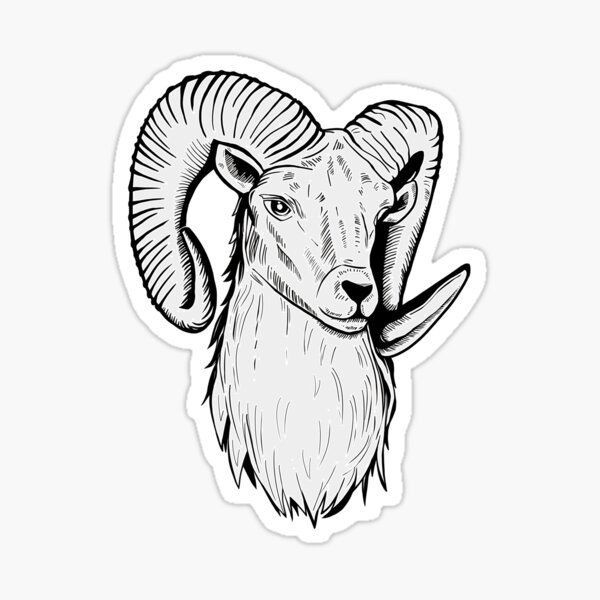 "Ram's head" Sticker by Francees | Redbubble