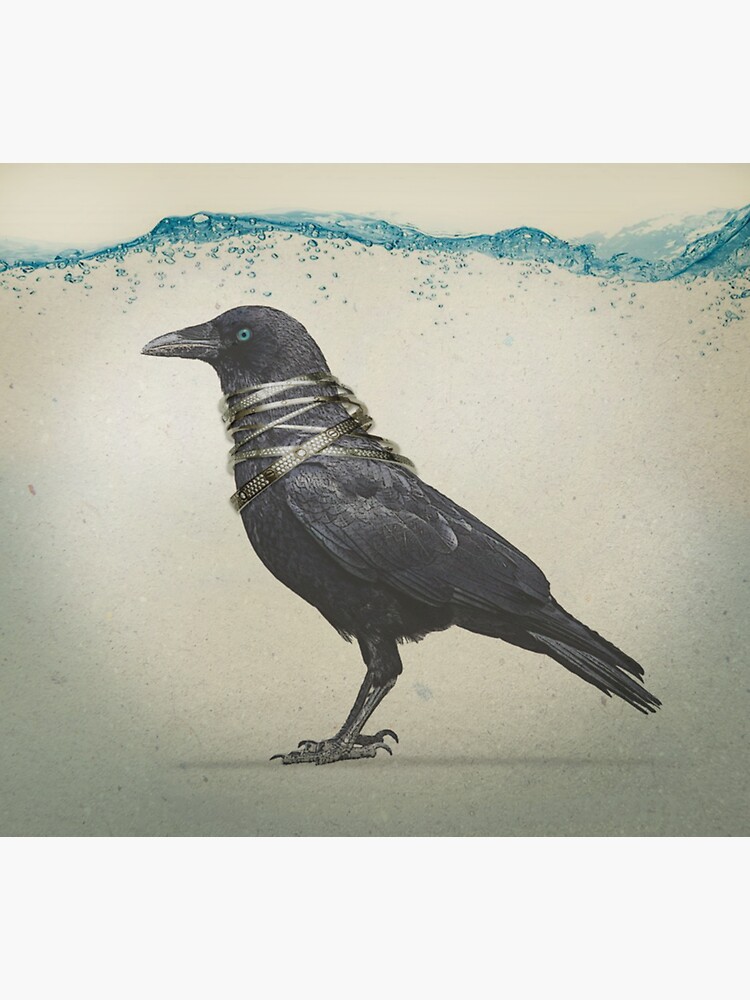 "Raven Band Sticker" Sticker for Sale by zajicekorutz | Redbubble