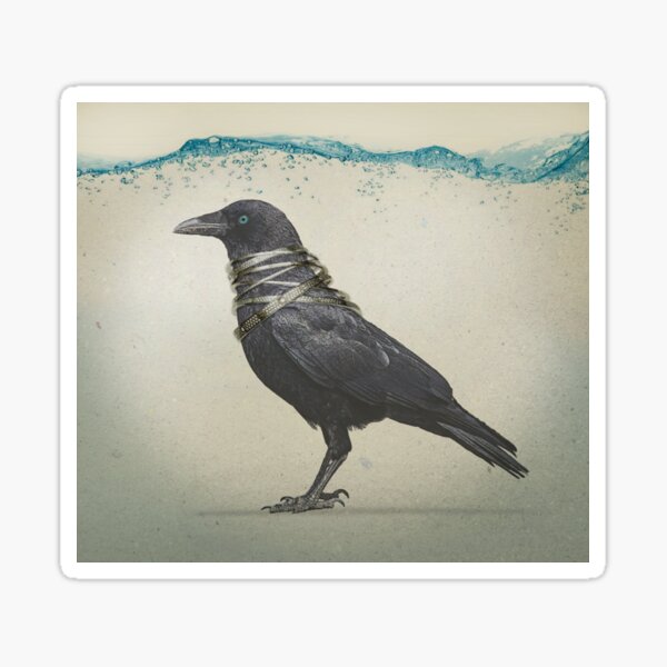 "Raven Band Sticker" Sticker for Sale by zajicekorutz | Redbubble