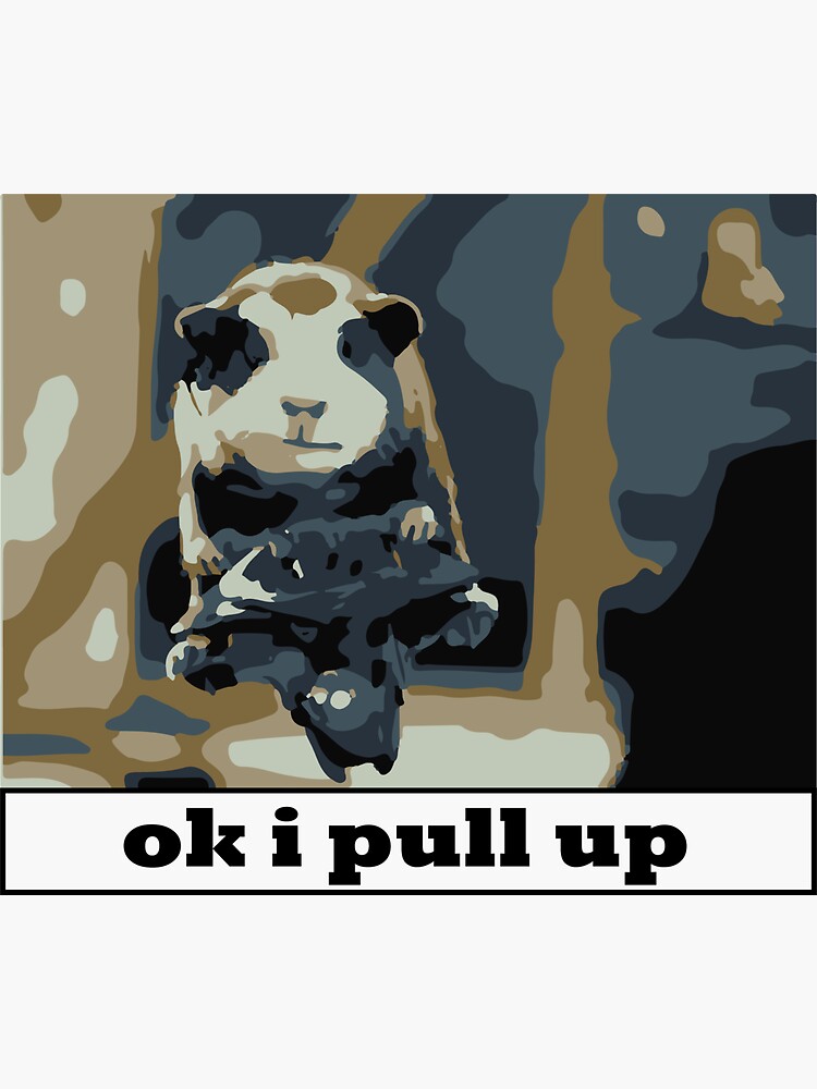 "Ok I Pull Up" Sticker for Sale by lawside | Redbubble