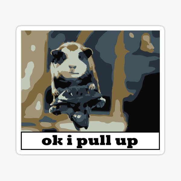 "Ok I Pull Up" Sticker for Sale by lawside | Redbubble