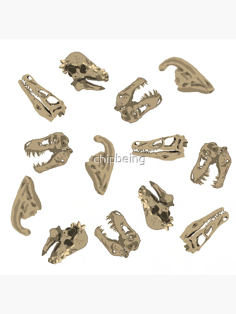 "Dino skulls all over!" Sticker for Sale by chipbeing | Redbubble