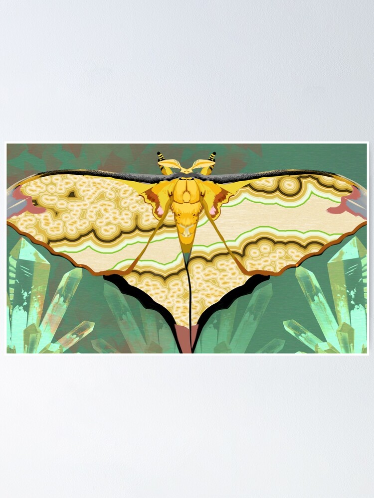 "Gem Luna moth" Poster for Sale by Soulair-art | Redbubble