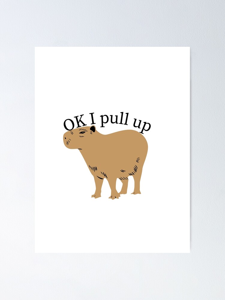"OK I pull up" Poster for Sale by Megurix | Redbubble