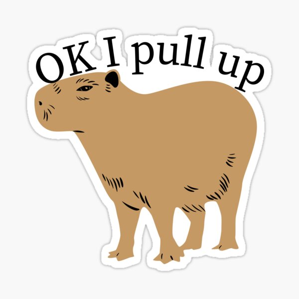 "OK I pull up" Sticker for Sale by Megurix | Redbubble
