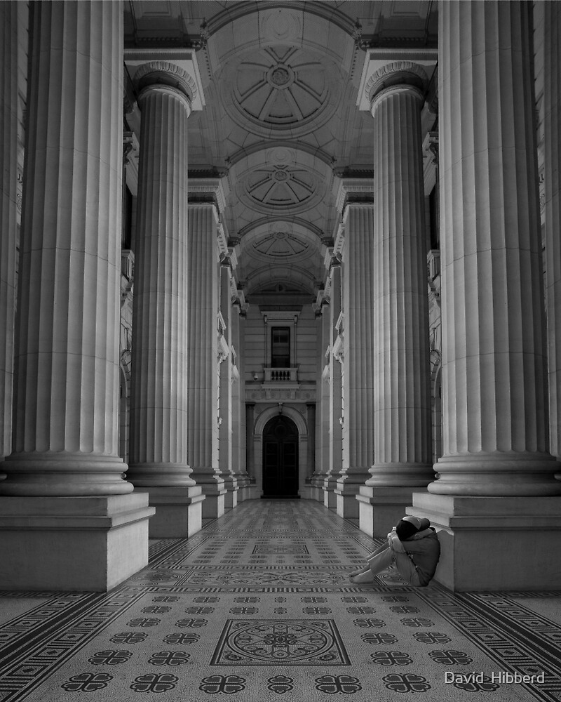 "Shelter" by David Hibberd | Redbubble