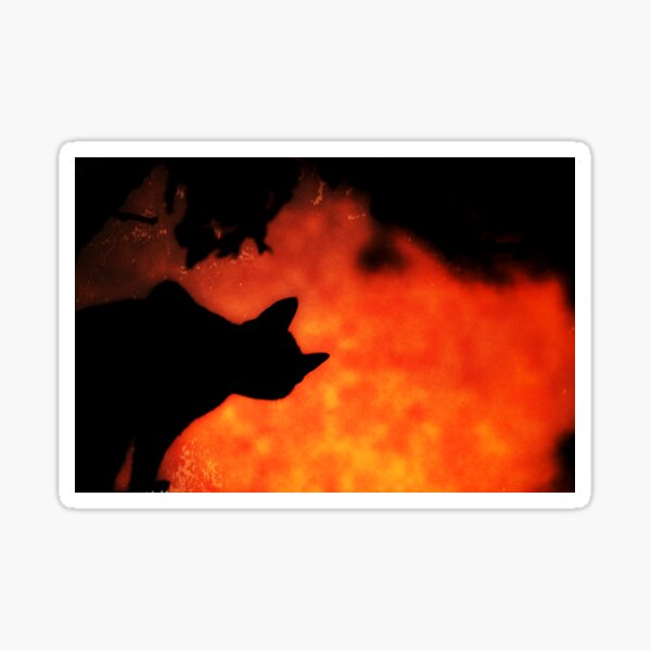"Cat and fire" Sticker for Sale by MiaMoonShop | Redbubble