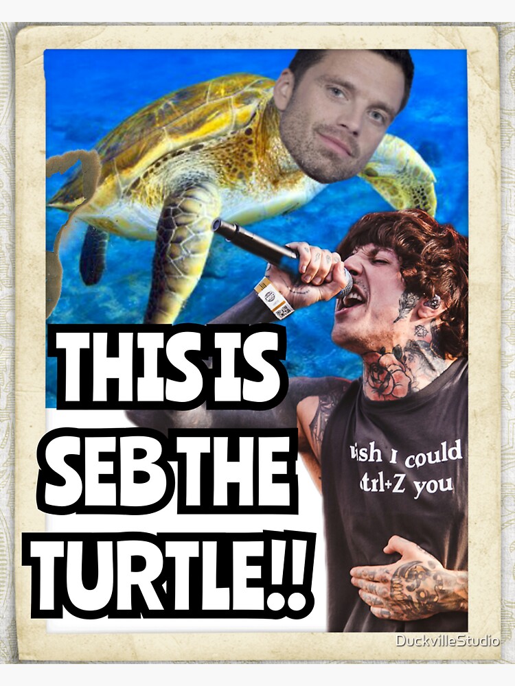 "Seb The Turtle Meme ~ for BMTH/Sebastian Stan lovers {Design 1 ...