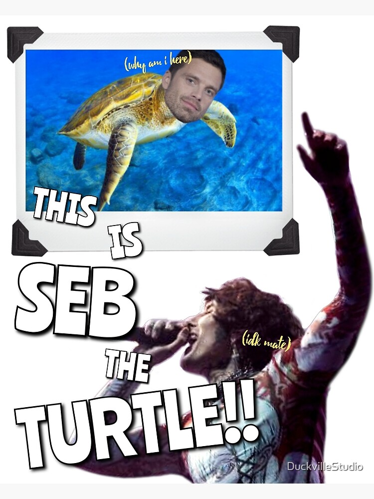 "Seb The Turtle Meme ~ for BMTH/Sebastian Stan lovers {Design 2 ...
