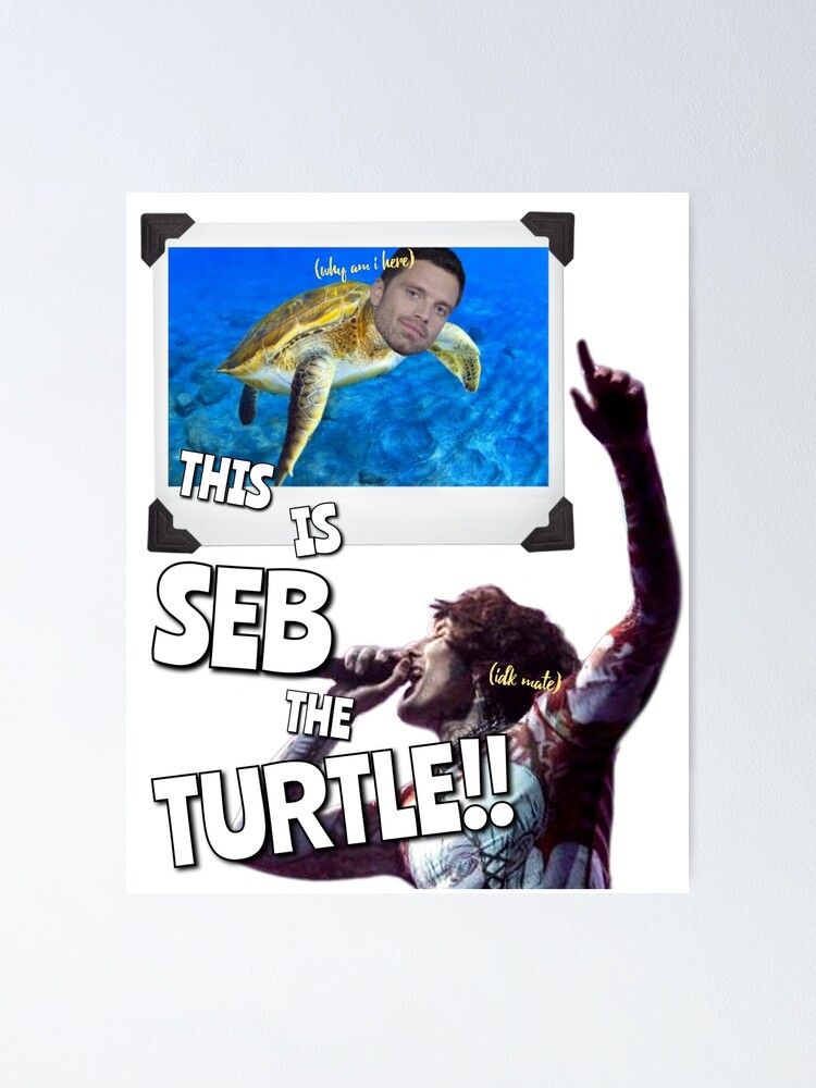 "Seb The Turtle Meme ~ for BMTH/Sebastian Stan lovers {Design 2 ...