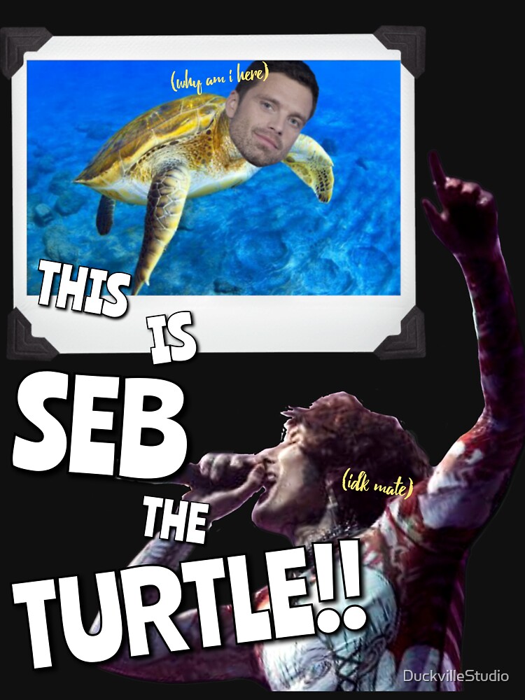 "Seb The Turtle Meme ~ for BMTH/Sebastian Stan lovers {Design 2}" T ...