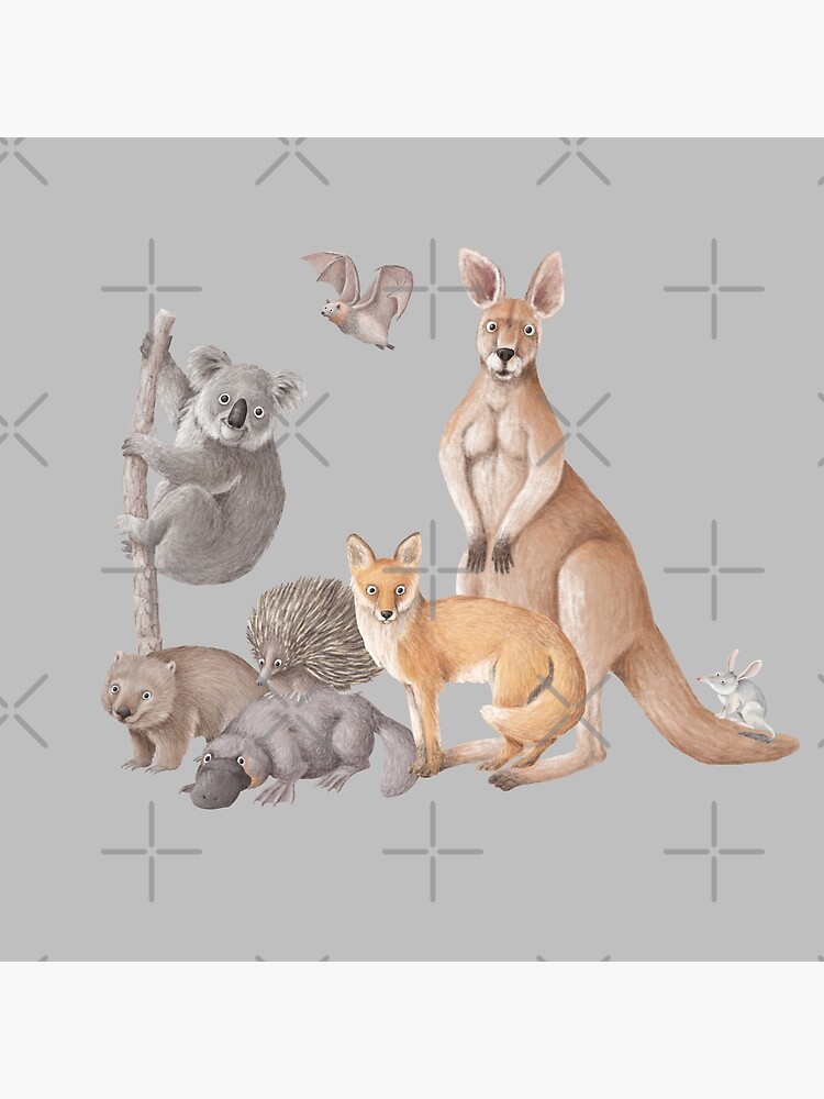 "Australian Bush Animals " Poster for Sale by TeeKid | Redbubble