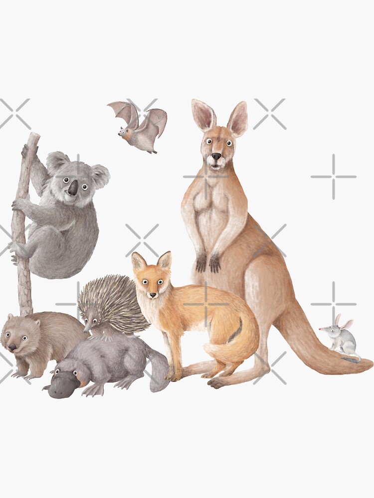 "Australian Bush Animals " Sticker for Sale by TeeKid | Redbubble
