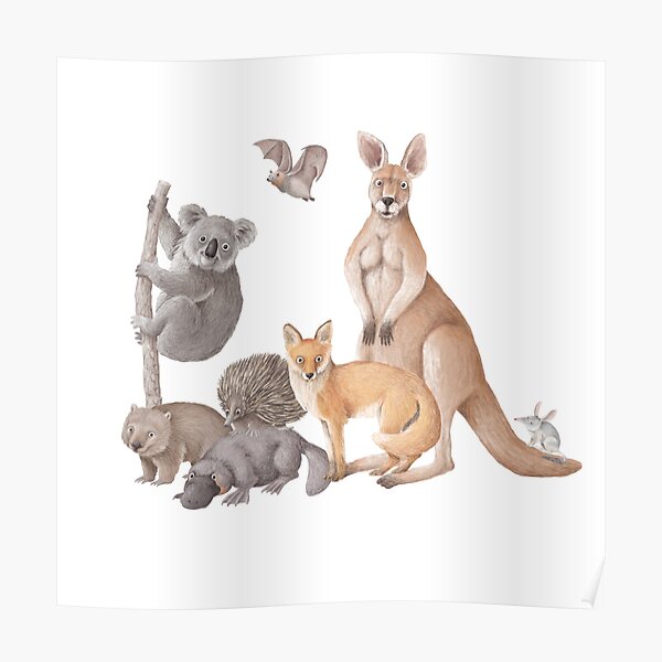 "Cute Baby Aussie Animals " Poster for Sale by TeeKid | Redbubble