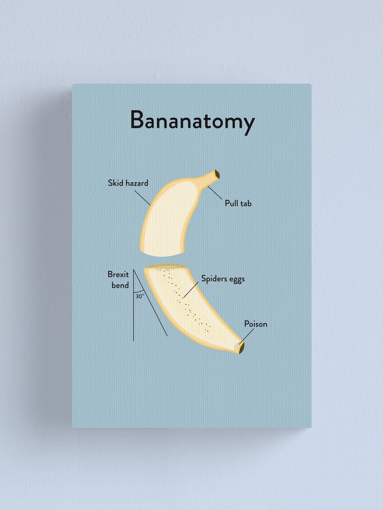 "Banana Anatomy" Canvas Print by Wildyles | Redbubble