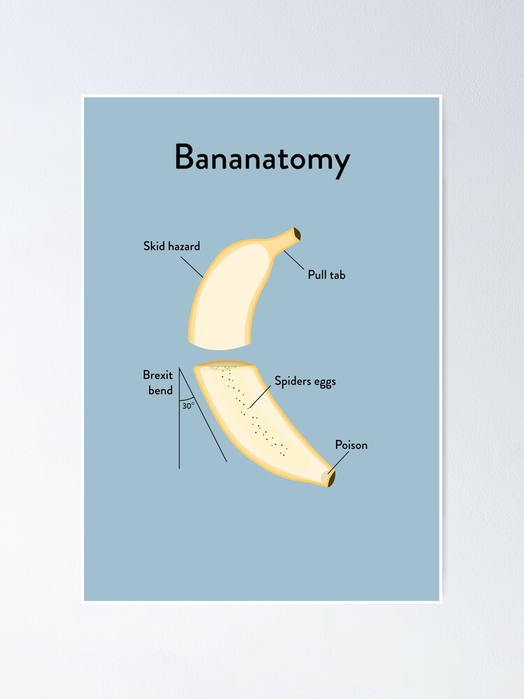 "Banana Anatomy" Poster for Sale by Wildyles | Redbubble
