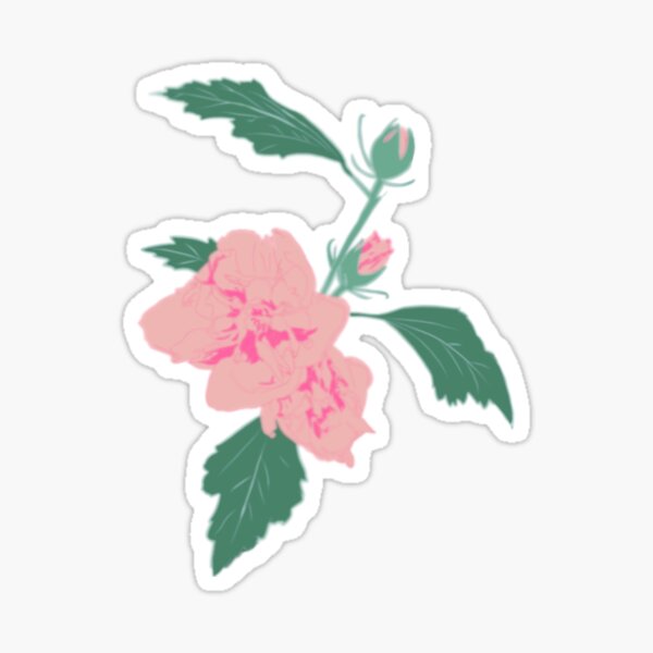 "althea - bud blossom and fade" Sticker for Sale by Artsy-Astronaut ...