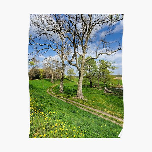 "Spring Park Walk" Poster for Sale by DriftwoodOilArt | Redbubble