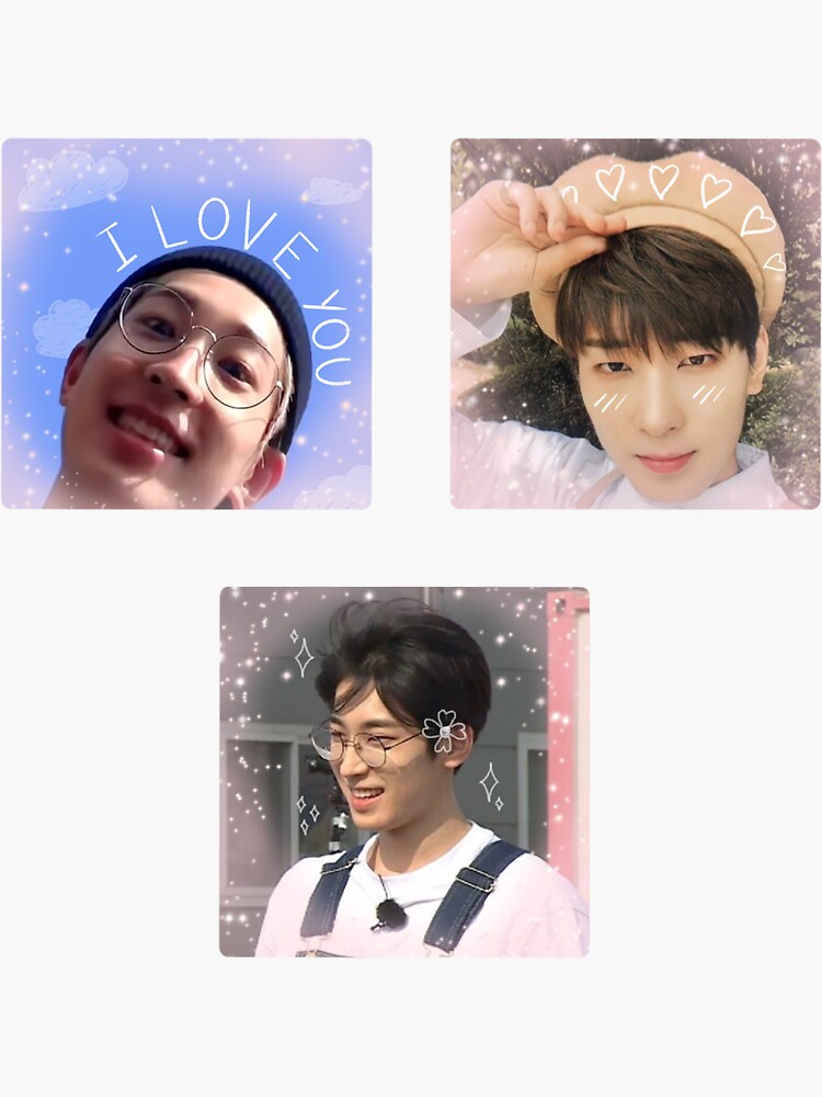 "Seventeen Wonwoo Doodled Set" Sticker for Sale by mumuswiss | Redbubble