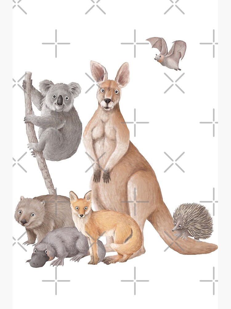 "Australian Bush Animals " Poster for Sale by TeeKid | Redbubble