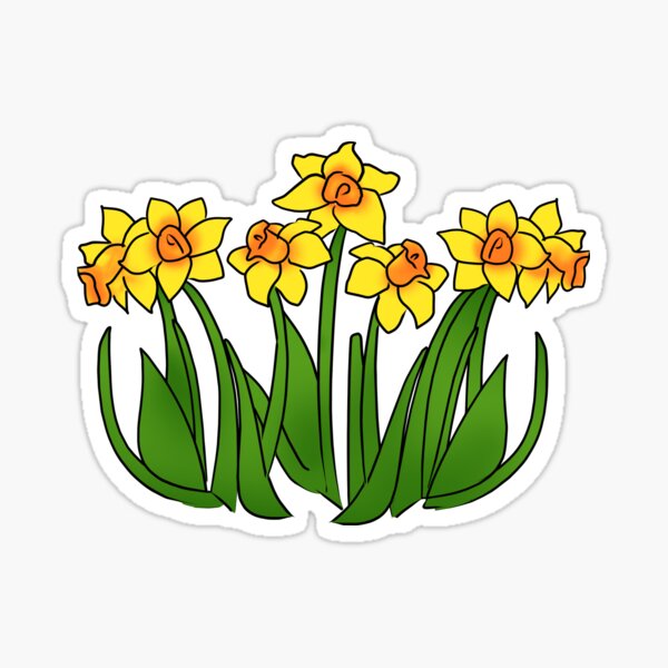 "Daffodil Flowers" Sticker for Sale by kuenstlerinsara | Redbubble