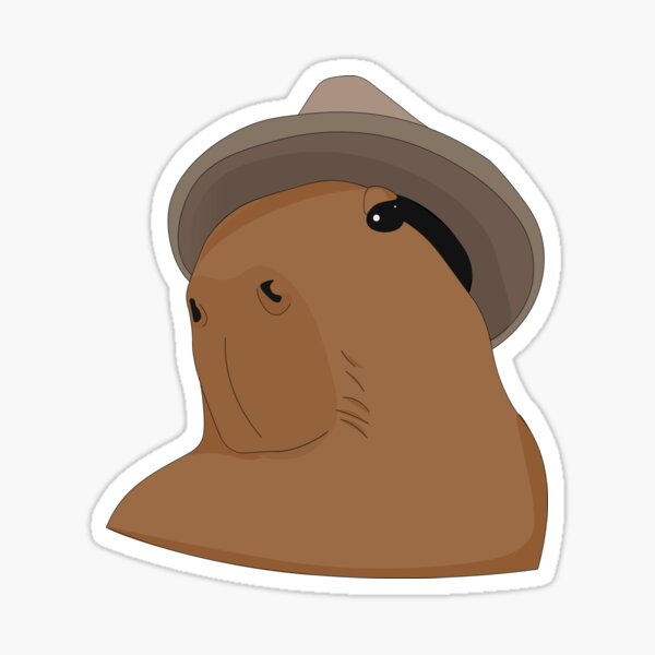 "Capybara with hat" Sticker for Sale by Revrive | Redbubble