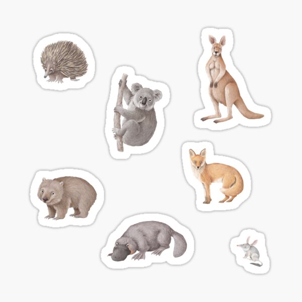 "Australian Animals Sticker Pack " Sticker for Sale by TeeKid | Redbubble