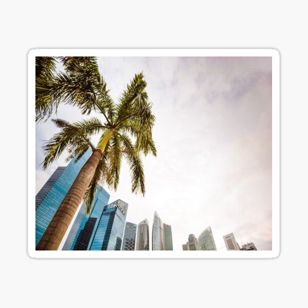 "marina bay skyline in singapore" Sticker for Sale by franckreporter ...
