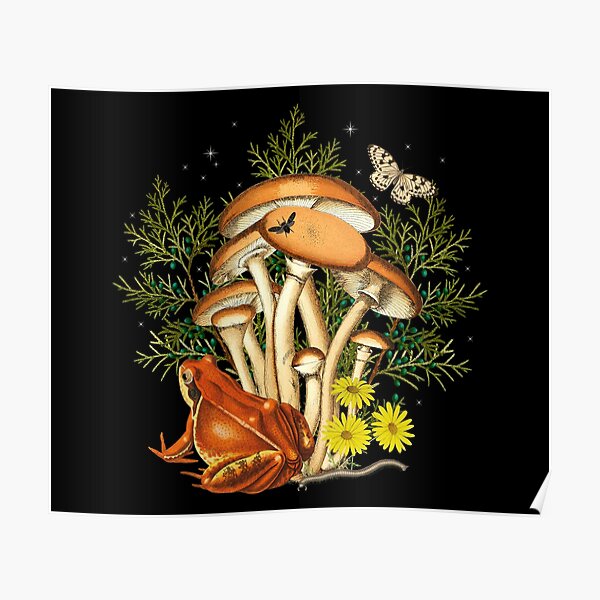 "Goblincore" Poster for Sale by ValentinaHramov | Redbubble
