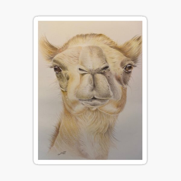 "Camel" Sticker for Sale by RimaArt | Redbubble