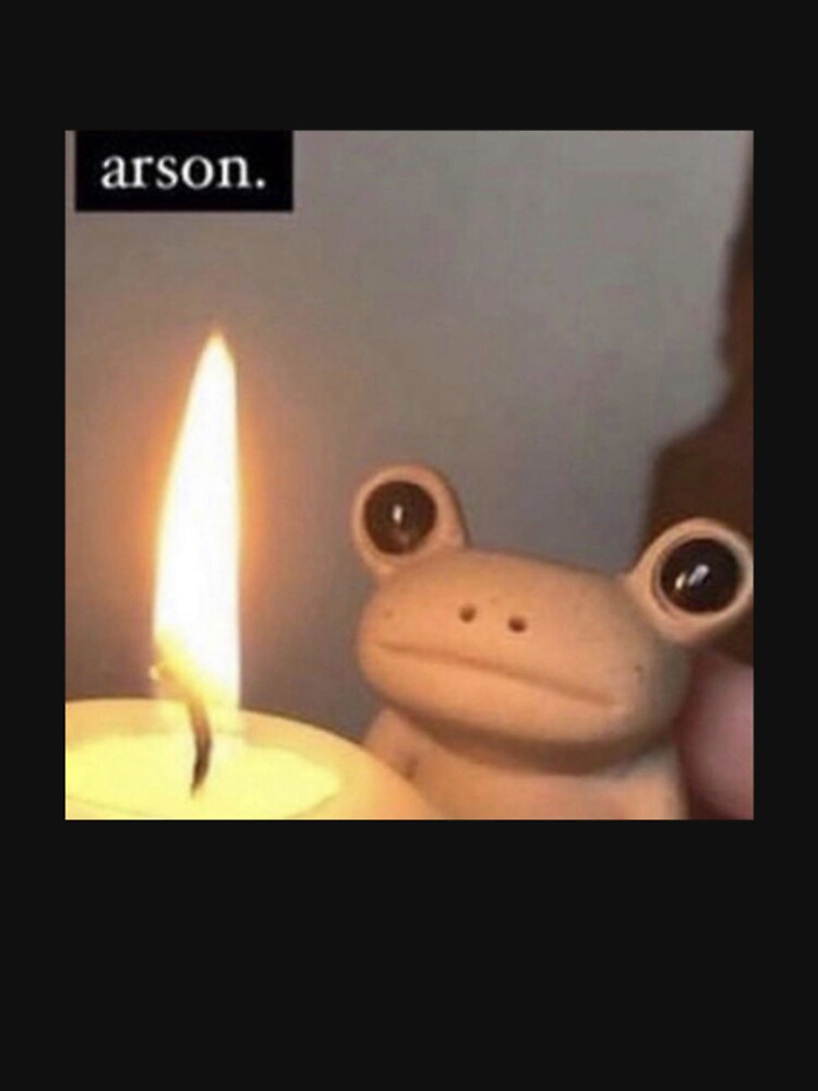 "Evil frog arson meme" T-shirt for Sale by SHANOSANDY | Redbubble ...