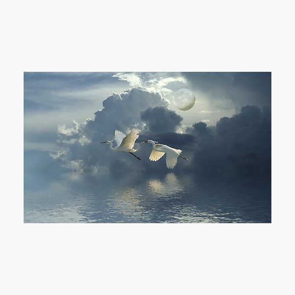 Daughtry Gifts & Merchandise for Sale | Redbubble