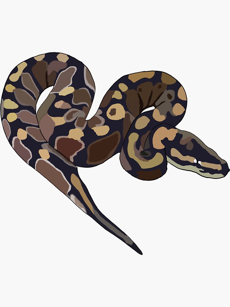 "Ball Python / snake portrait / exotic pet" Sticker for Sale by roleydesigns | Redbubble