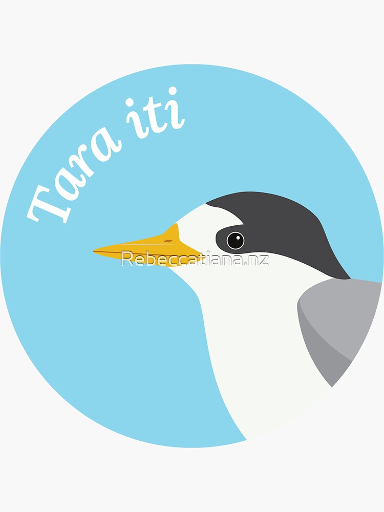 "New Zealand Bird | Tara iti | Fairy Tern" Sticker for Sale by ...
