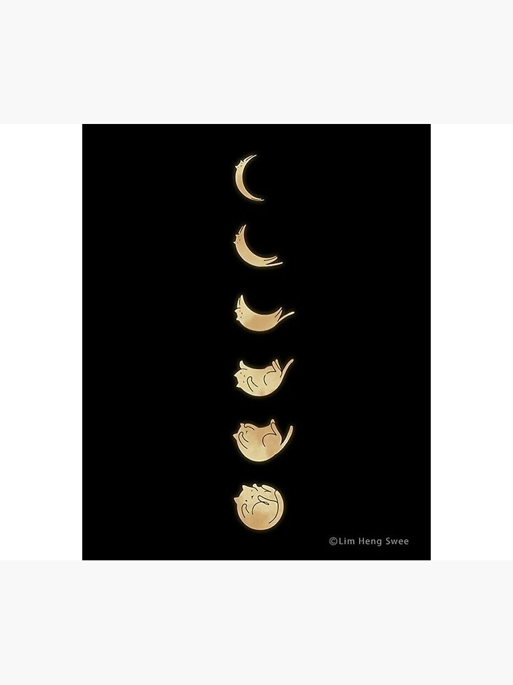 "phases moon evolution " Poster for Sale by Muss-00 | Redbubble