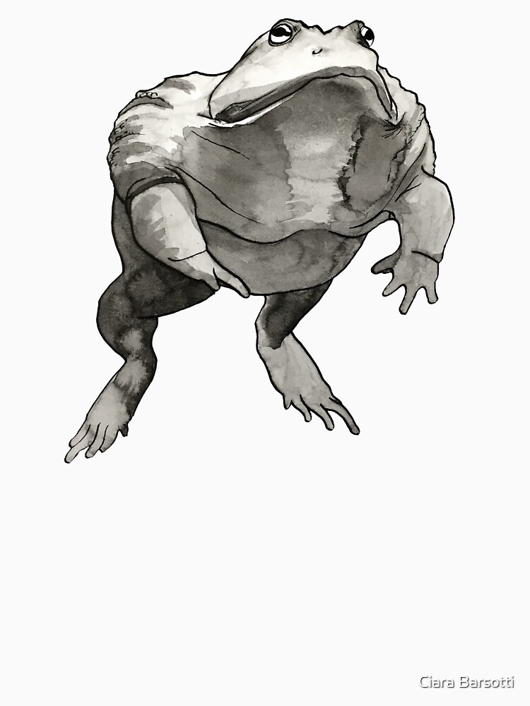 "African Bullfrog Black and White Ink Drawing" T-shirt for Sale by ...