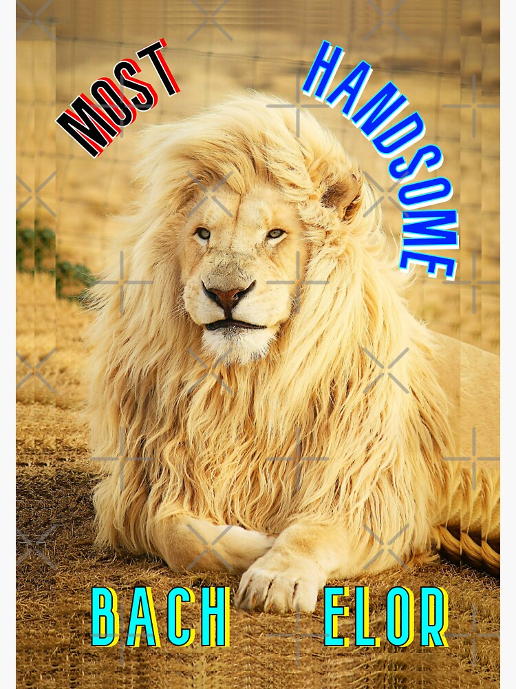Pegatina «El soltero más guapo - Spirit Surreal Art Liger. Smile Yellow ...