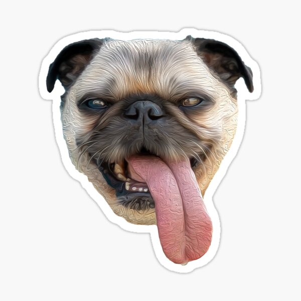 "Pug Tongue hanging out " Sticker for Sale by sermskr | Redbubble