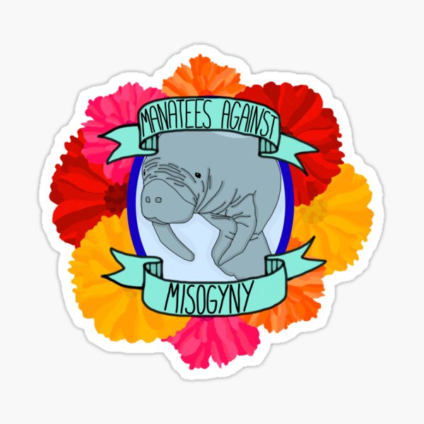 Misogyny Merch & Gifts for Sale | Redbubble
