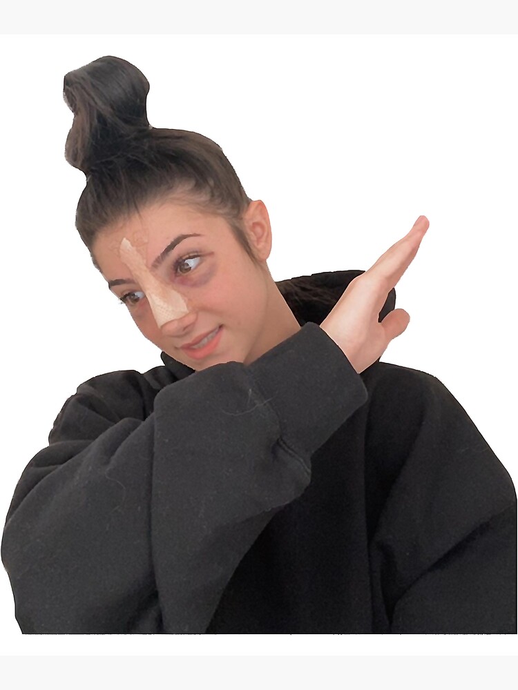 "Charlie Damelio - Tik Tok reference" Poster for Sale by EloraBabz ...