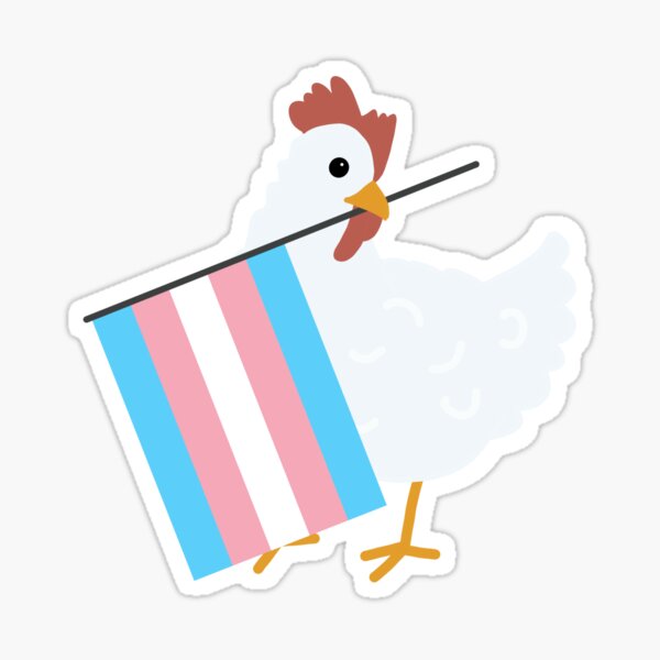 "Transgender Chicken" Sticker for Sale by HelloThereNerds | Redbubble