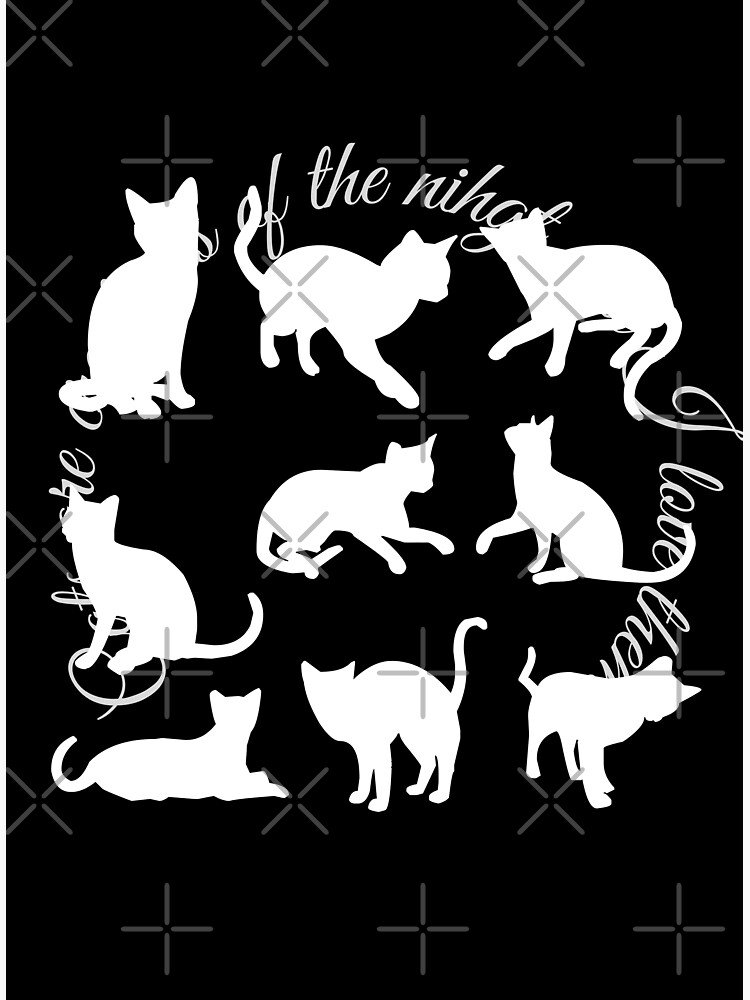 "Cats' Shadows (Black BG)" Sticker for Sale by RabbitCreations | Redbubble