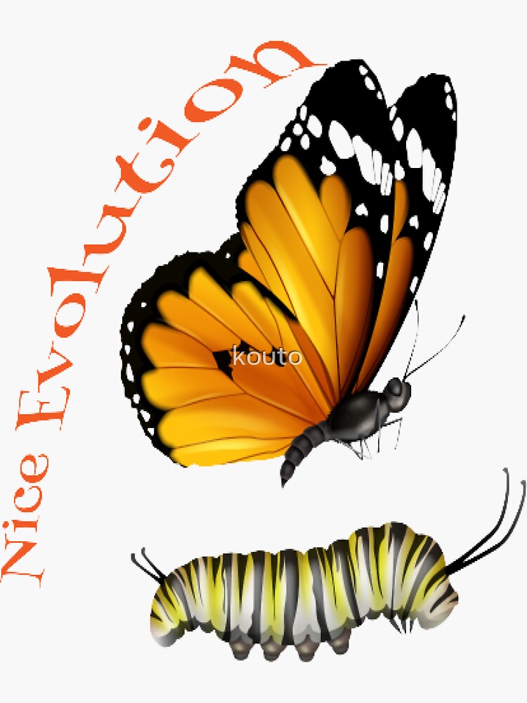 "Nice evolution" Sticker for Sale by kouto | Redbubble